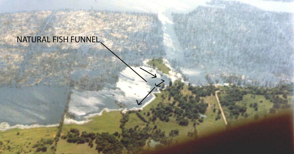 BASS HABITAT SERIES - M1-1 - Martins Map - The Super Map