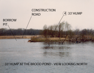 LEARN THE LAKE SERIES - MOUTH OF CHANEY BRANCH - Martins Map - The ...